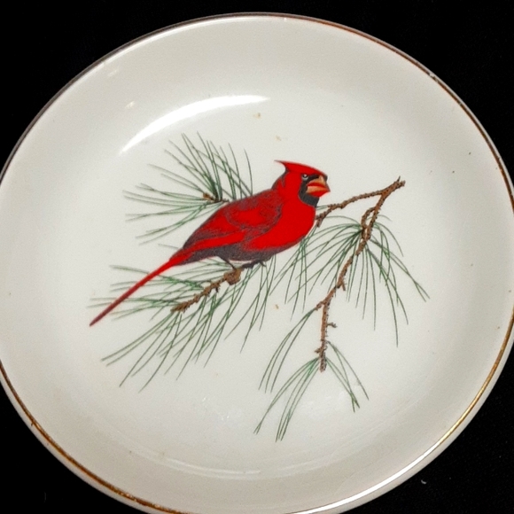 Crown Vintage | Kitchen | Vintage Staffordshire England Bone China ...